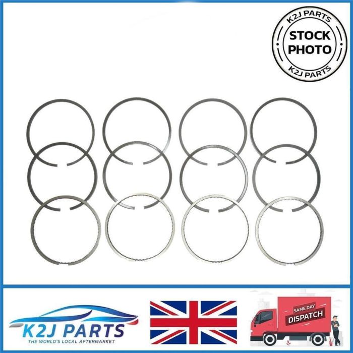 Piston Ring Set 12pc STD for Renault Nissan 1.5 dCi K9K Engines